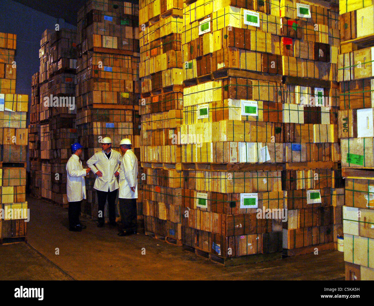Tons of Cheddar cheese stored for maturation at Wyke Farms Stock Photo ...