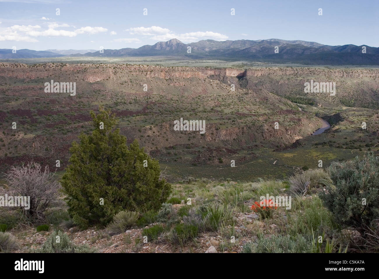 Rio Grande Gorge in spring, Taos County, New Mexico Stock Photo - Alamy