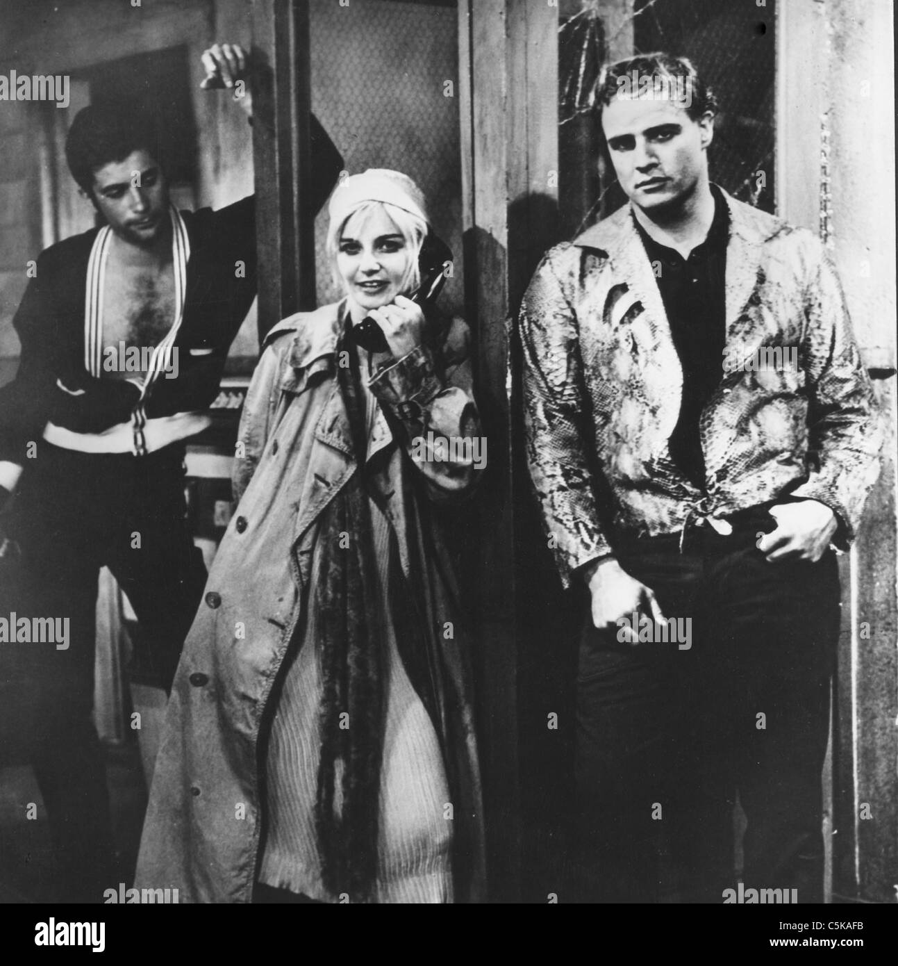 The Fugitive Kind