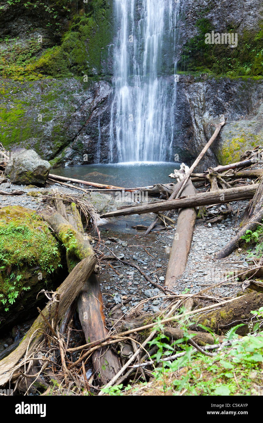 Olympic National Park Marymere Falls High Resolution Stock Photography and Images - Alamy