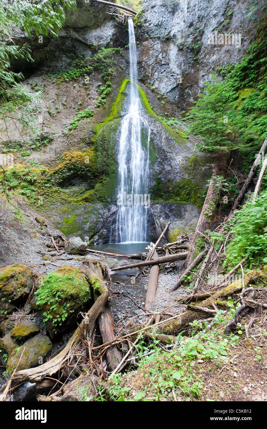 Marymere Falls, Marymere Falls Trail, Olympic National Park Stock Photo ...