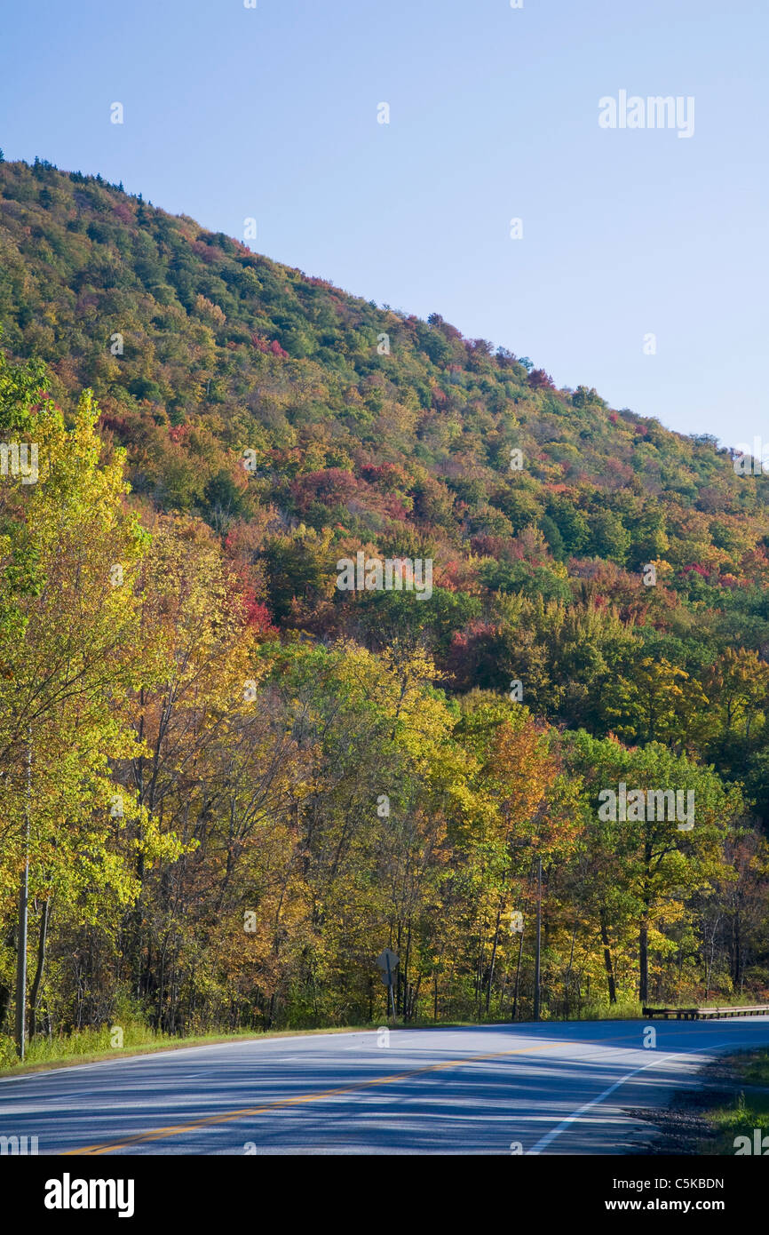 Highway along mountainside of Fall colored trees Stock Photo - Alamy