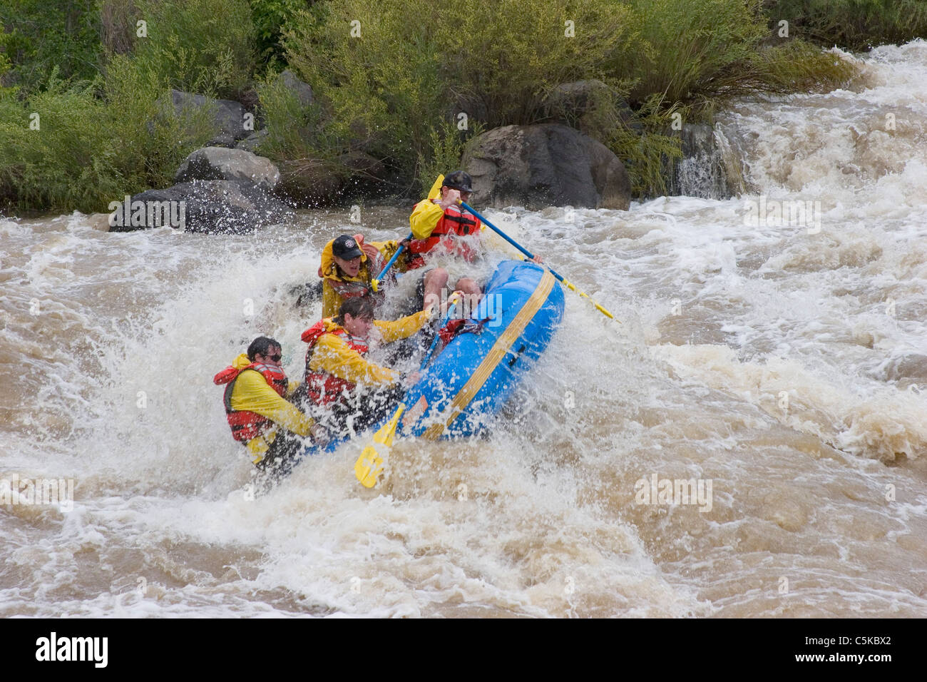River Rafters on the Rio Grande Stock Photo - Alamy