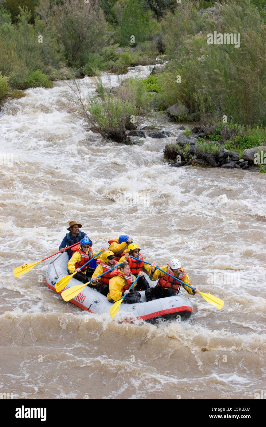 River Rafters in whitewater on the Rio Grande, vertical Stock Photo - Alamy