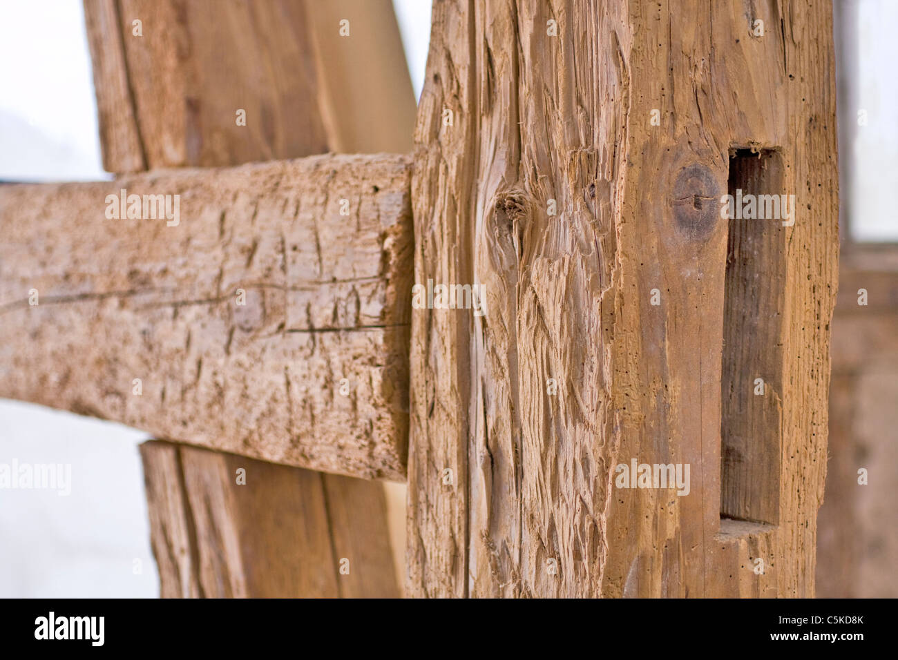 old carcass with woodworm and nice depth of field Stock Photo - Alamy