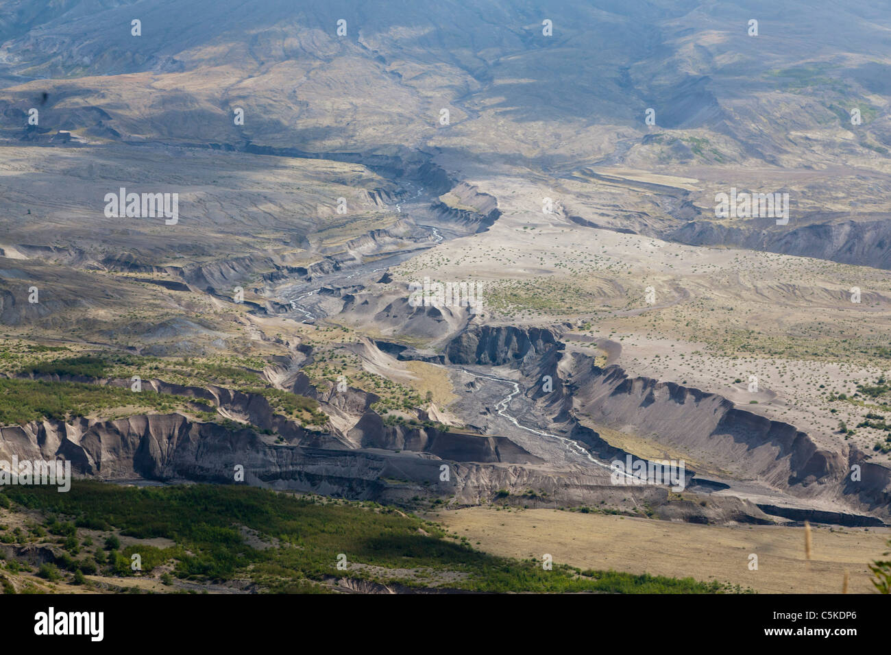 Toutle River in front of Mount St Helens Stock Photo - Alamy