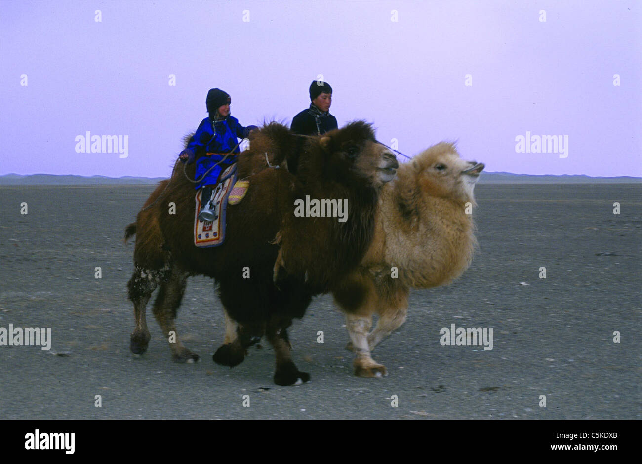 Die Geschichte vom weinenden Kamel The Story of the Weeping Camel Year ...
