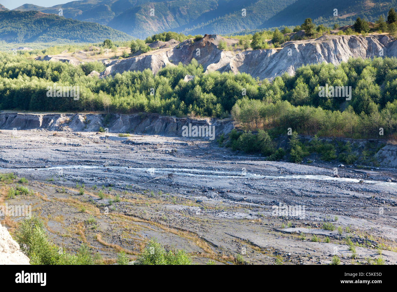Toutle River in front of Mount St Helens Washington USA Stock Photo - Alamy