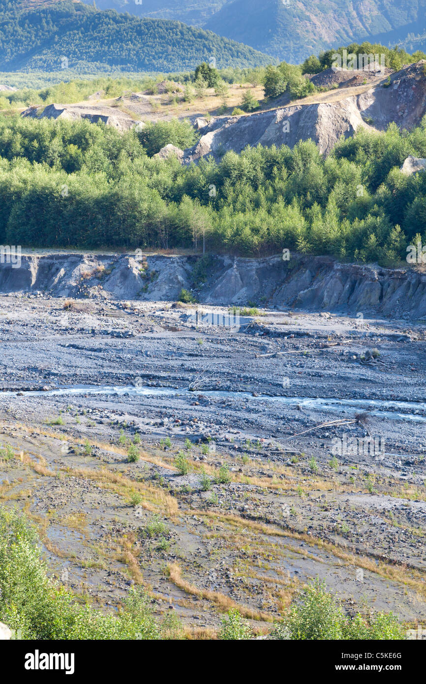 Toutle River in front of Mount St Helens Washington USA Stock Photo - Alamy