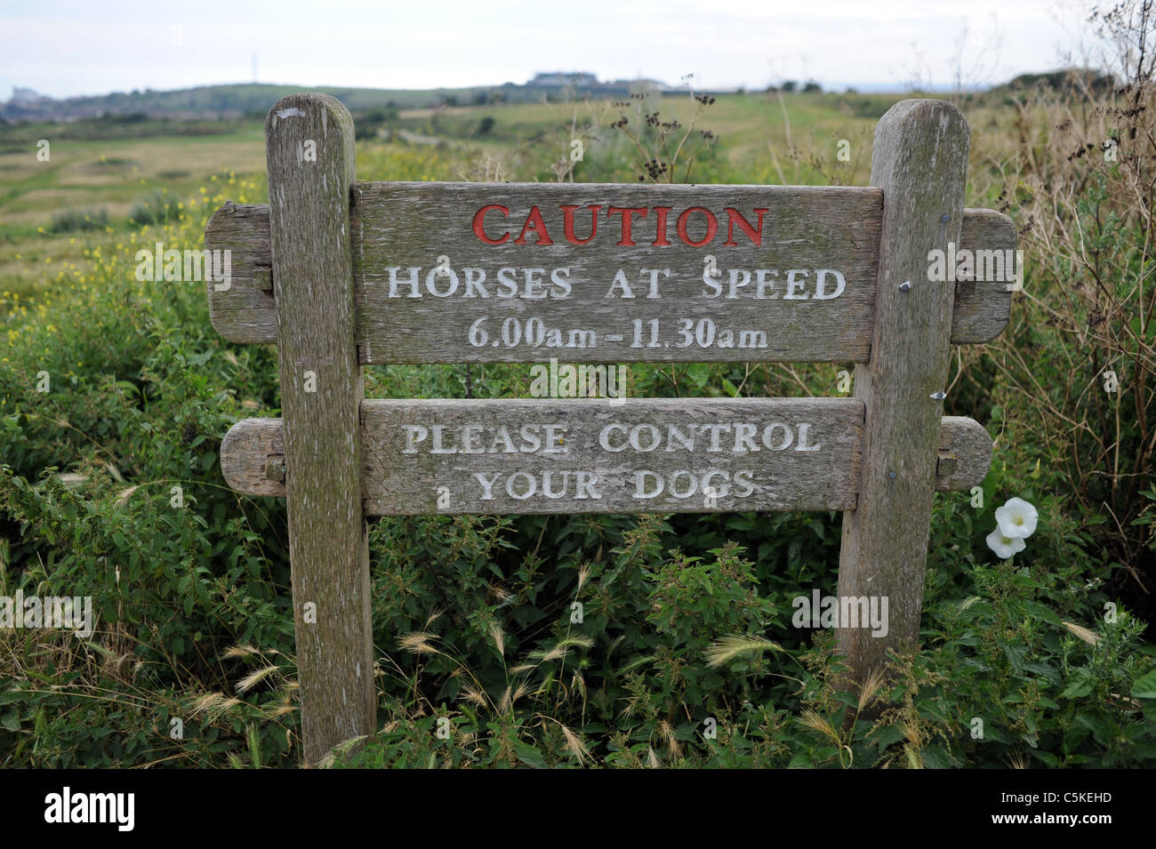 Horses at Speed warning notice at Sheepcote Valley in Brighton Sussex ...