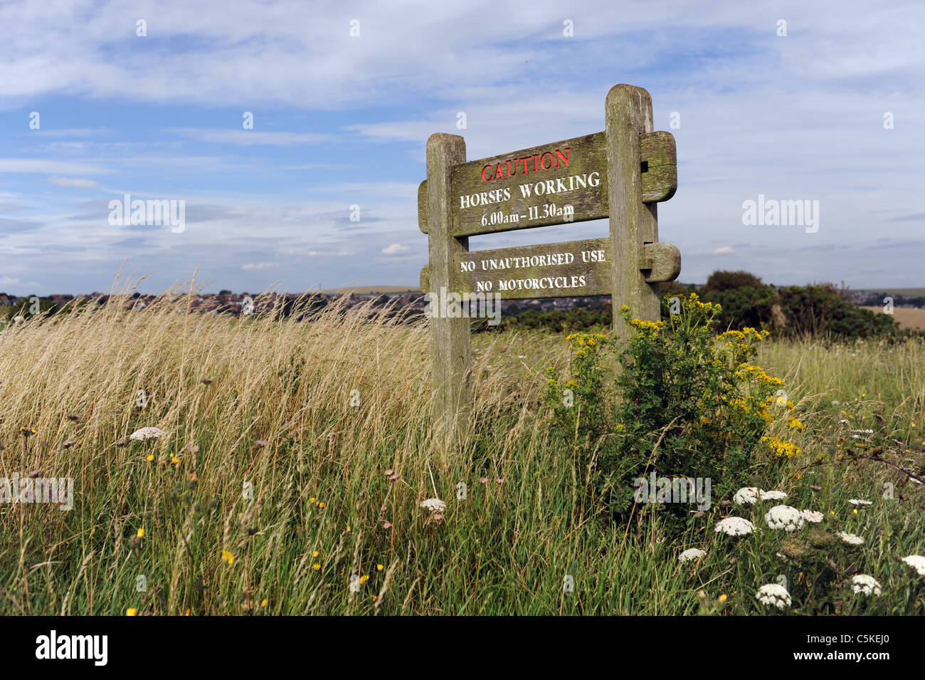 Horses Working warning notice at Sheepcote Valley in Brighton Sussex UK ...