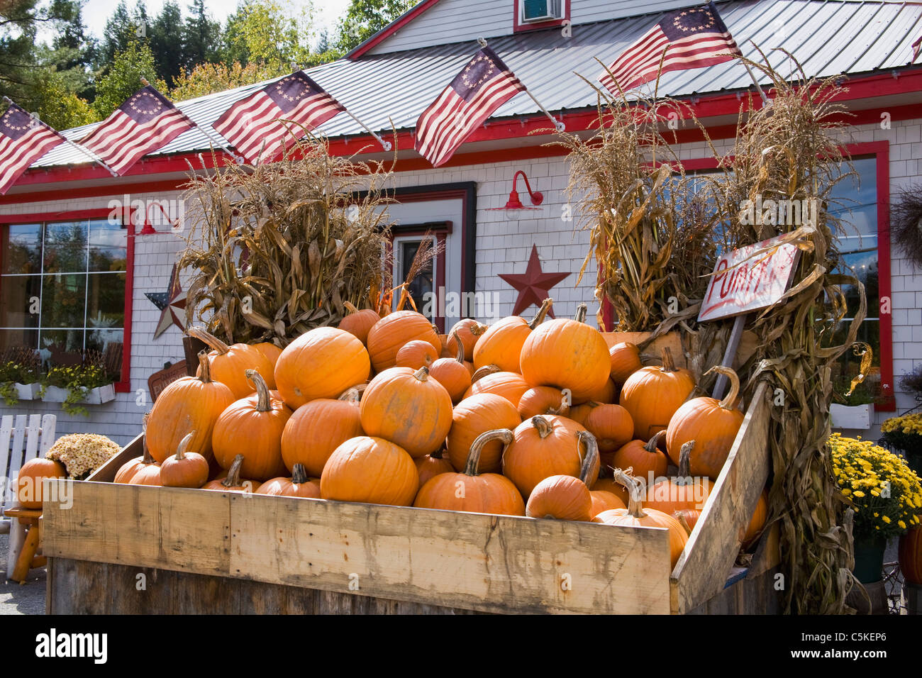 Display of pumpkins in front of store Stock Photo - Alamy
