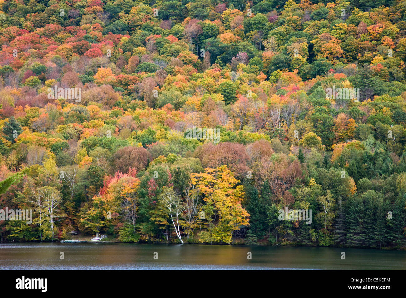 Fall colors abound on trees by reservoir Stock Photo - Alamy