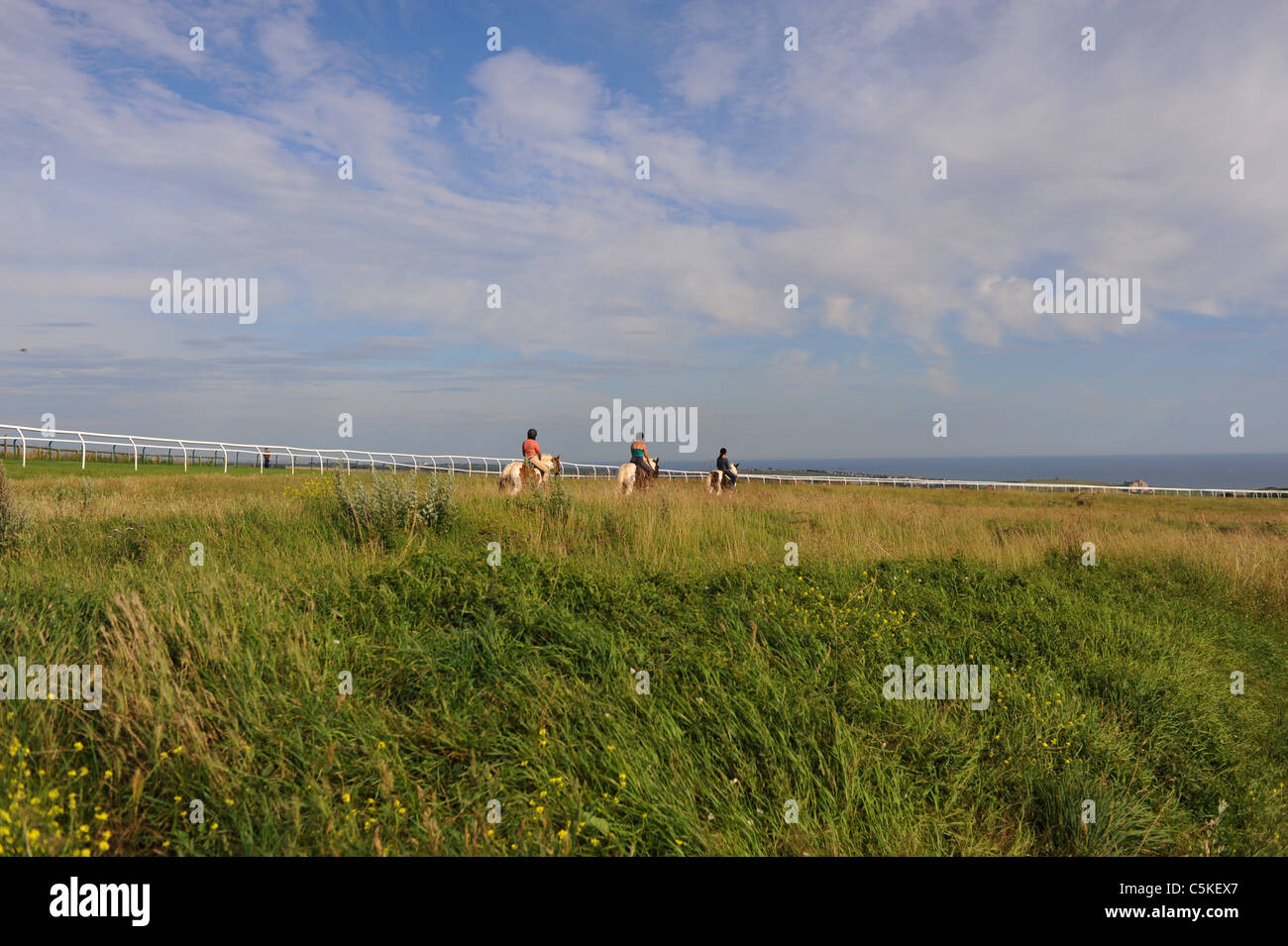 Sheepcote valley brighton hi-res stock photography and images - Alamy