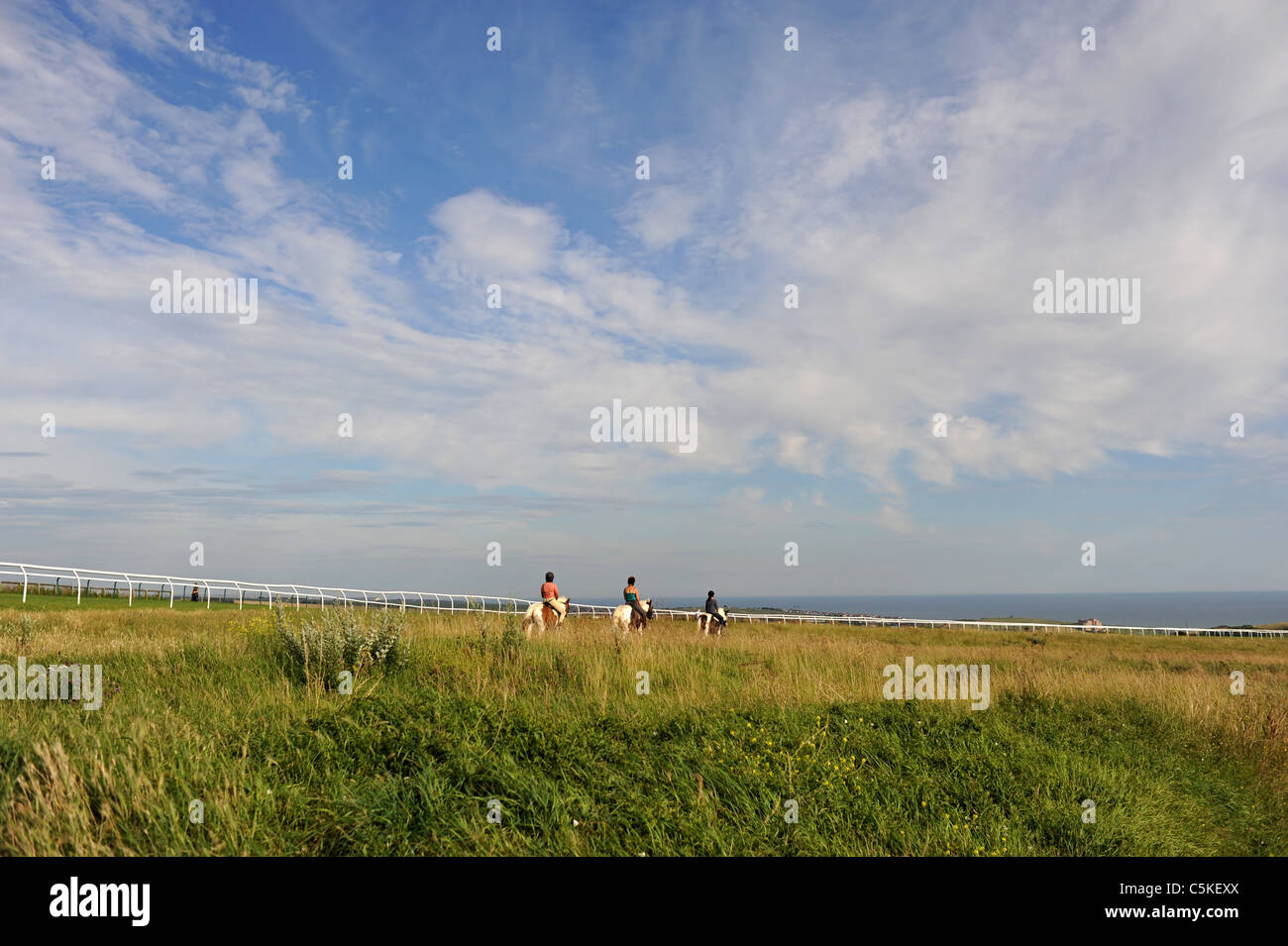 Horse riders and Wild flower meadow on the downs at Sheepcote Valley ...