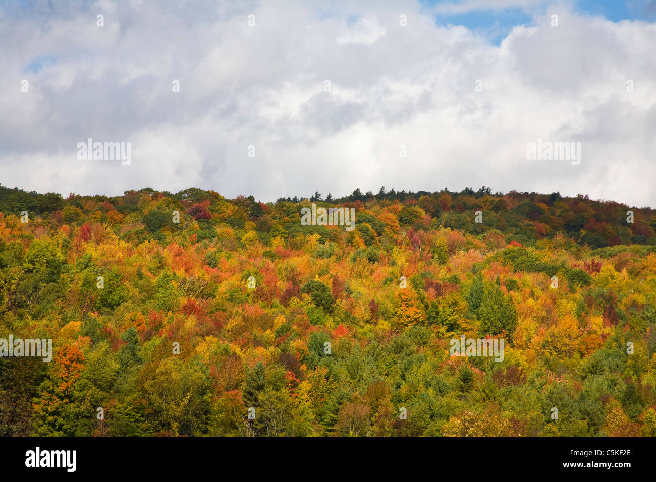 Fall skies blue hi-res stock photography and images - Alamy