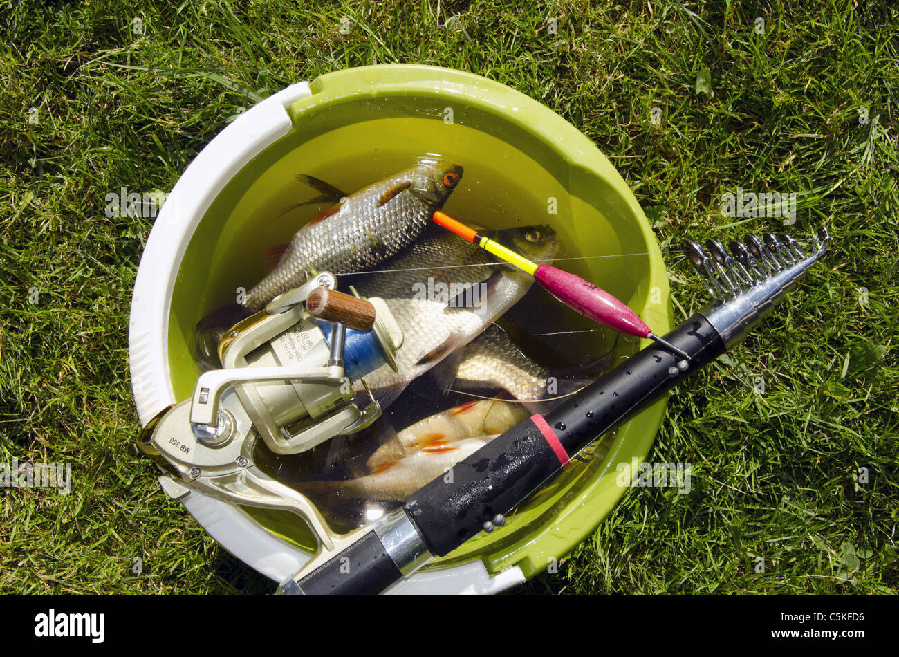 Pole float catch fish hi-res stock photography and images - Alamy