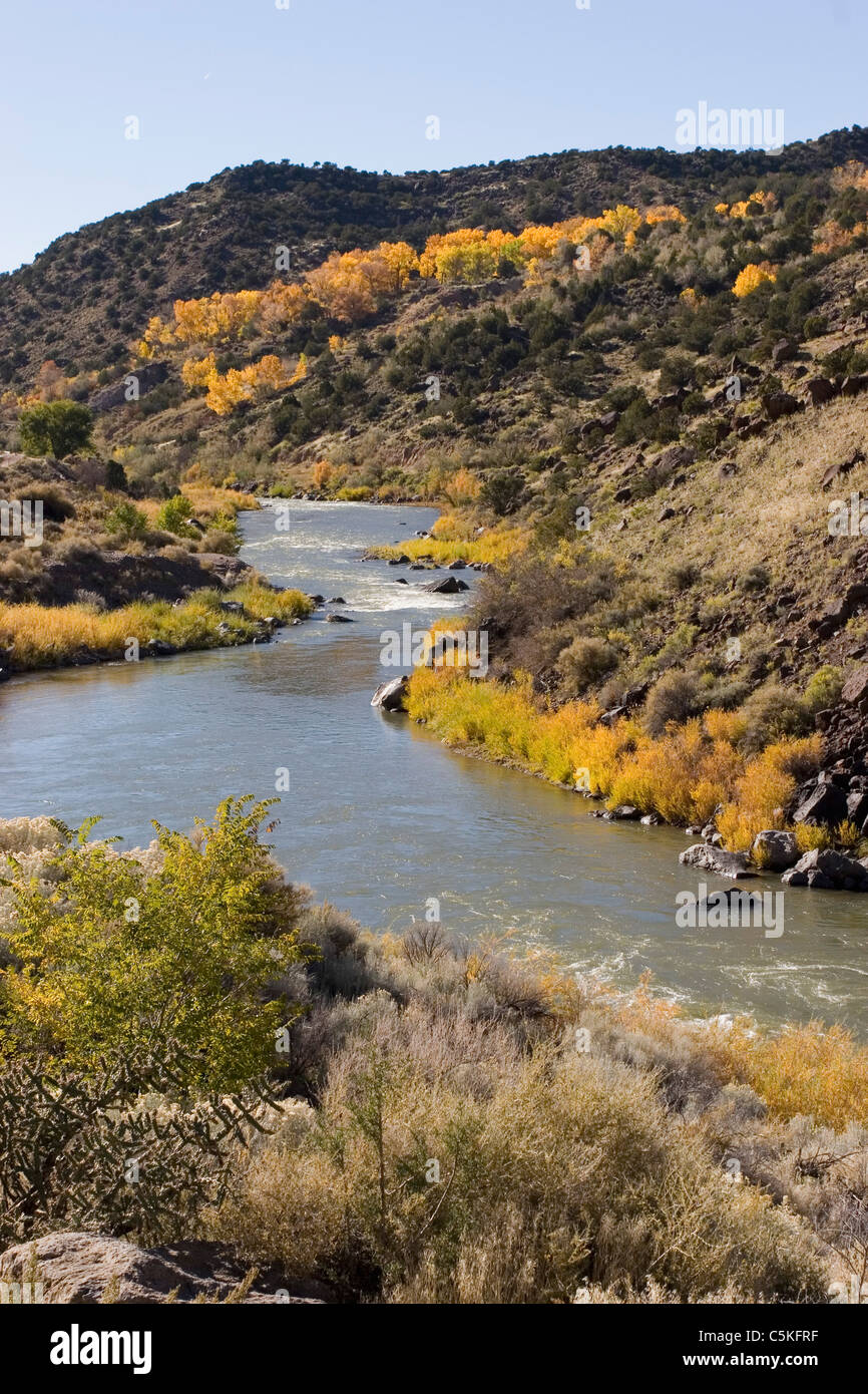 Vertical of Rio Grande in autumn Stock Photo - Alamy