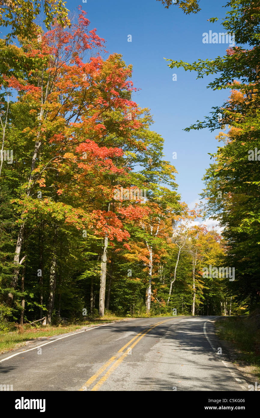 Road lined with maple trees some with red color Stock Photo - Alamy