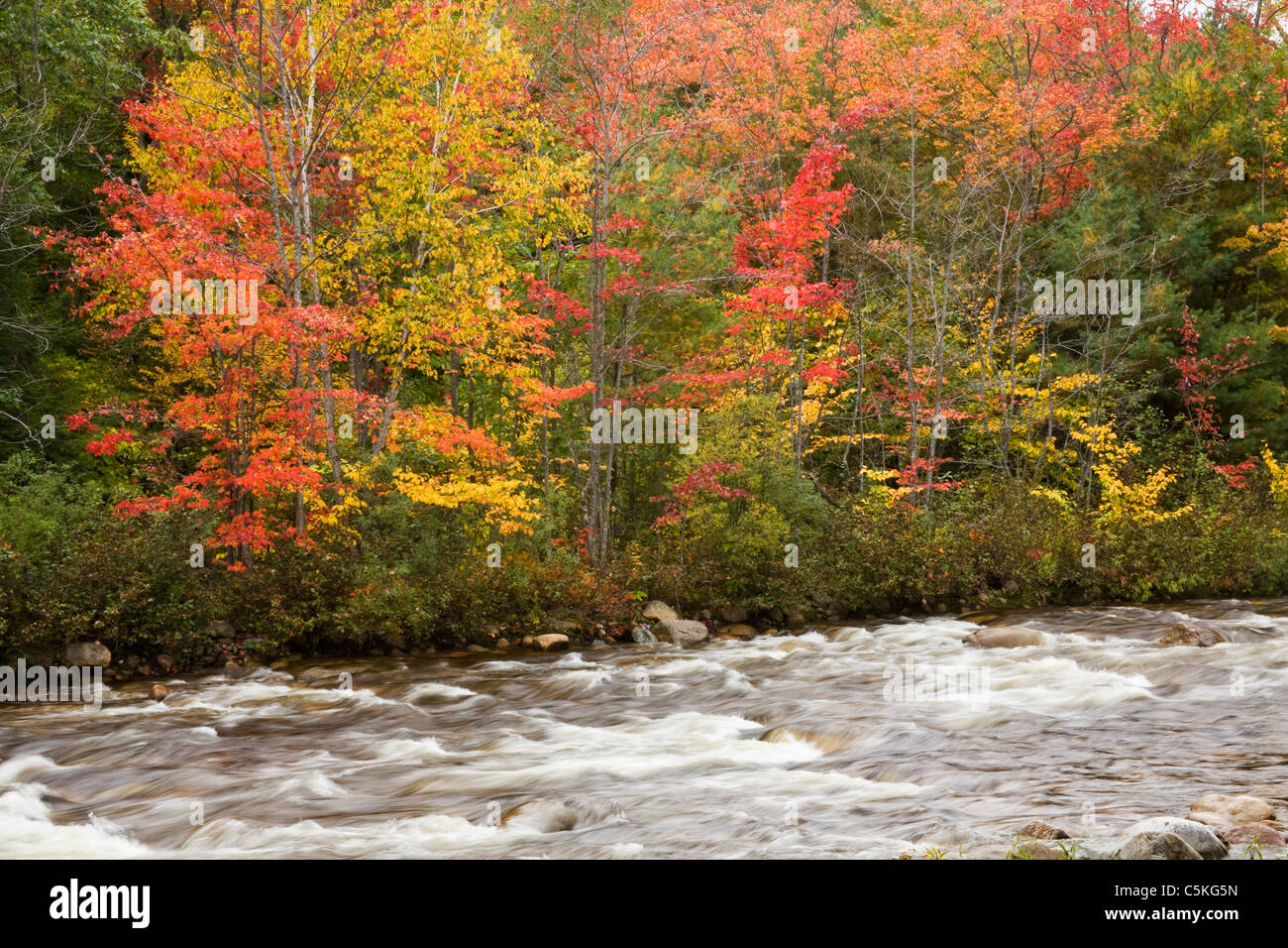 Swift river hi-res stock photography and images - Alamy