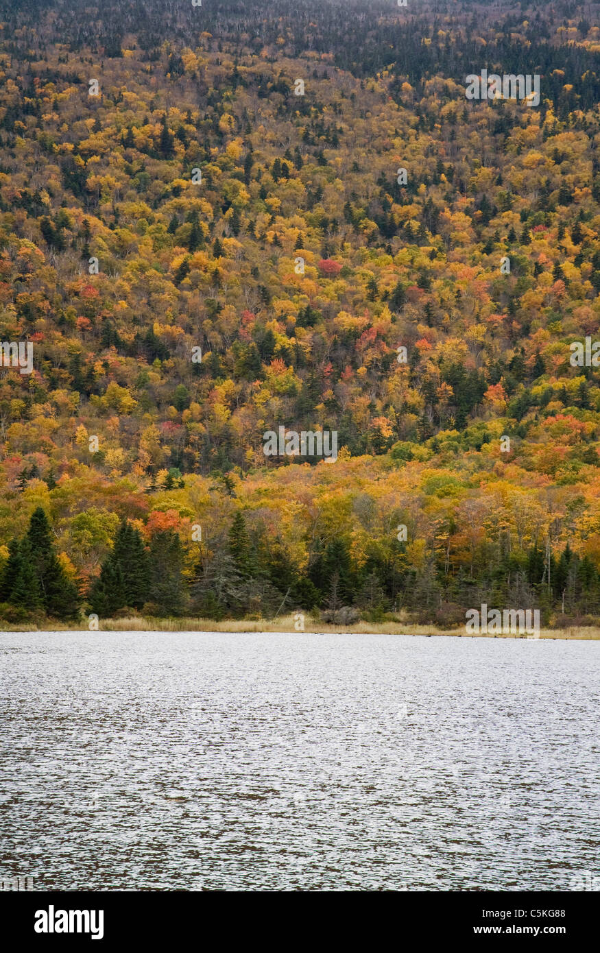 Small lake at foot of mountains in Fall color Stock Photo - Alamy
