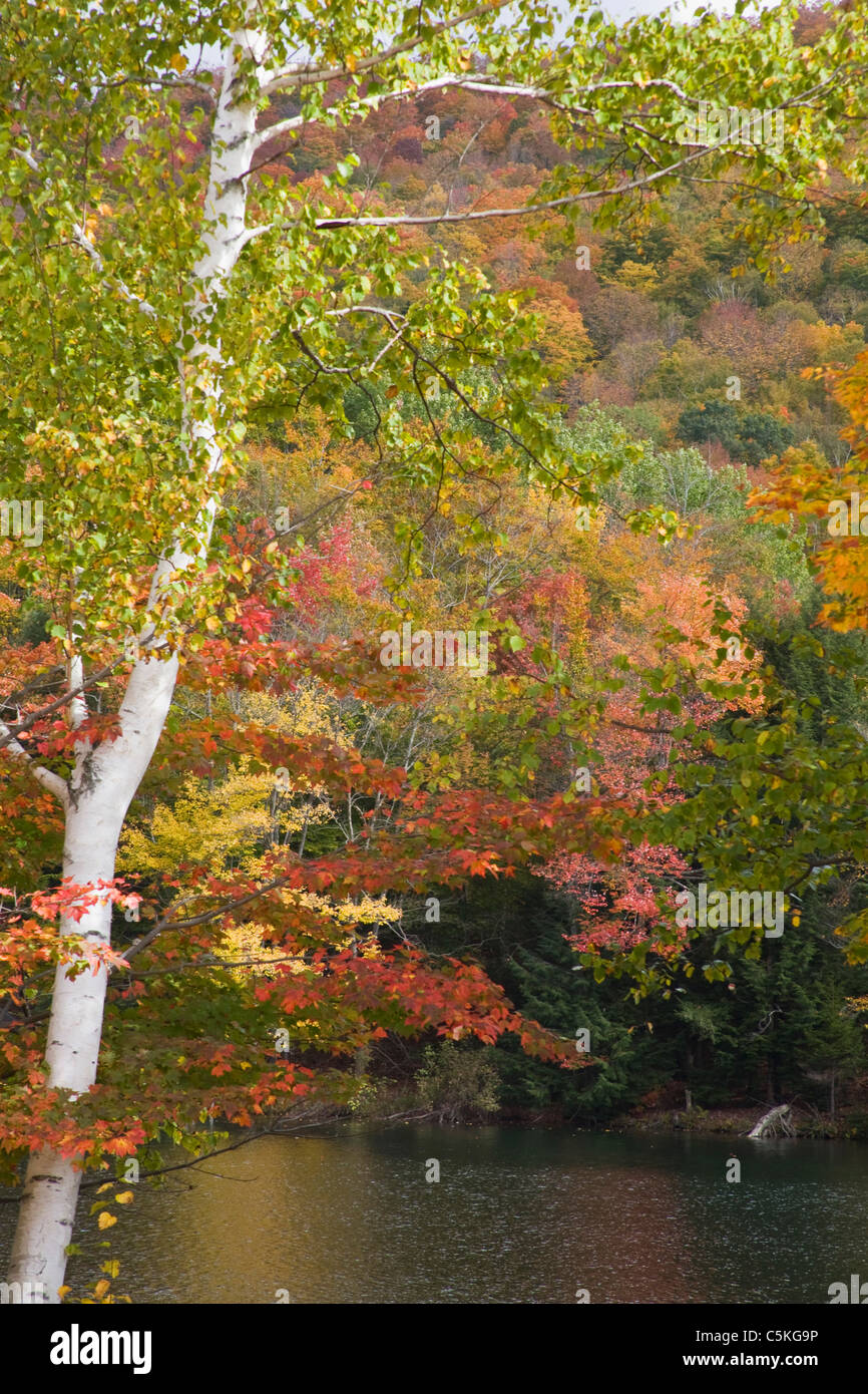 Fall colors abound on trees by reservoir Stock Photo - Alamy