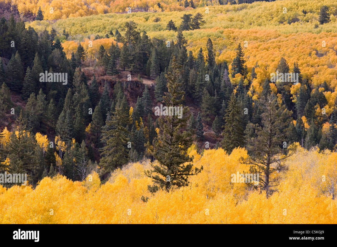 Explosion in colors hi-res stock photography and images - Alamy