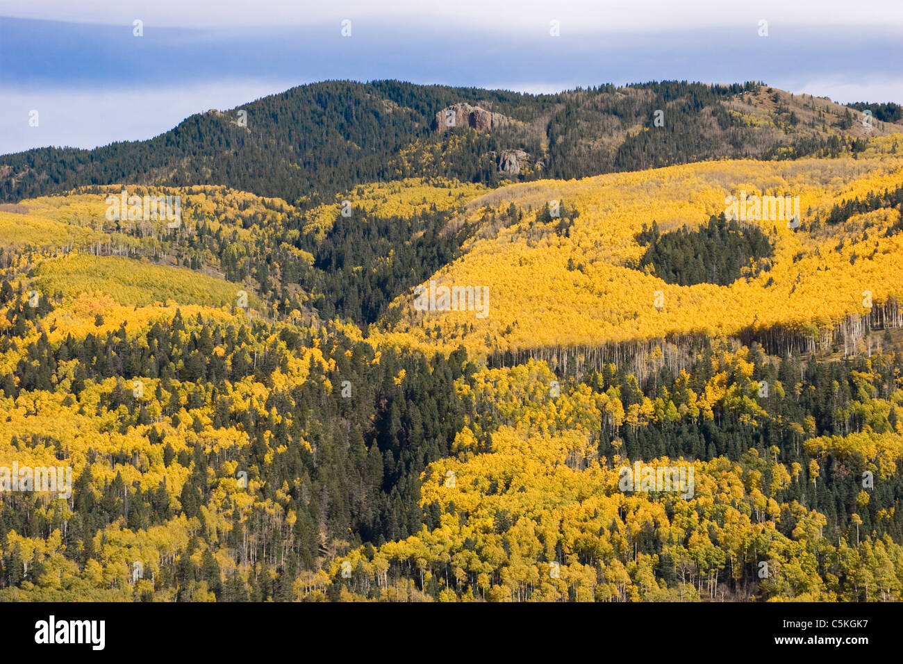 Fall colors in southern Colorado Stock Photo - Alamy