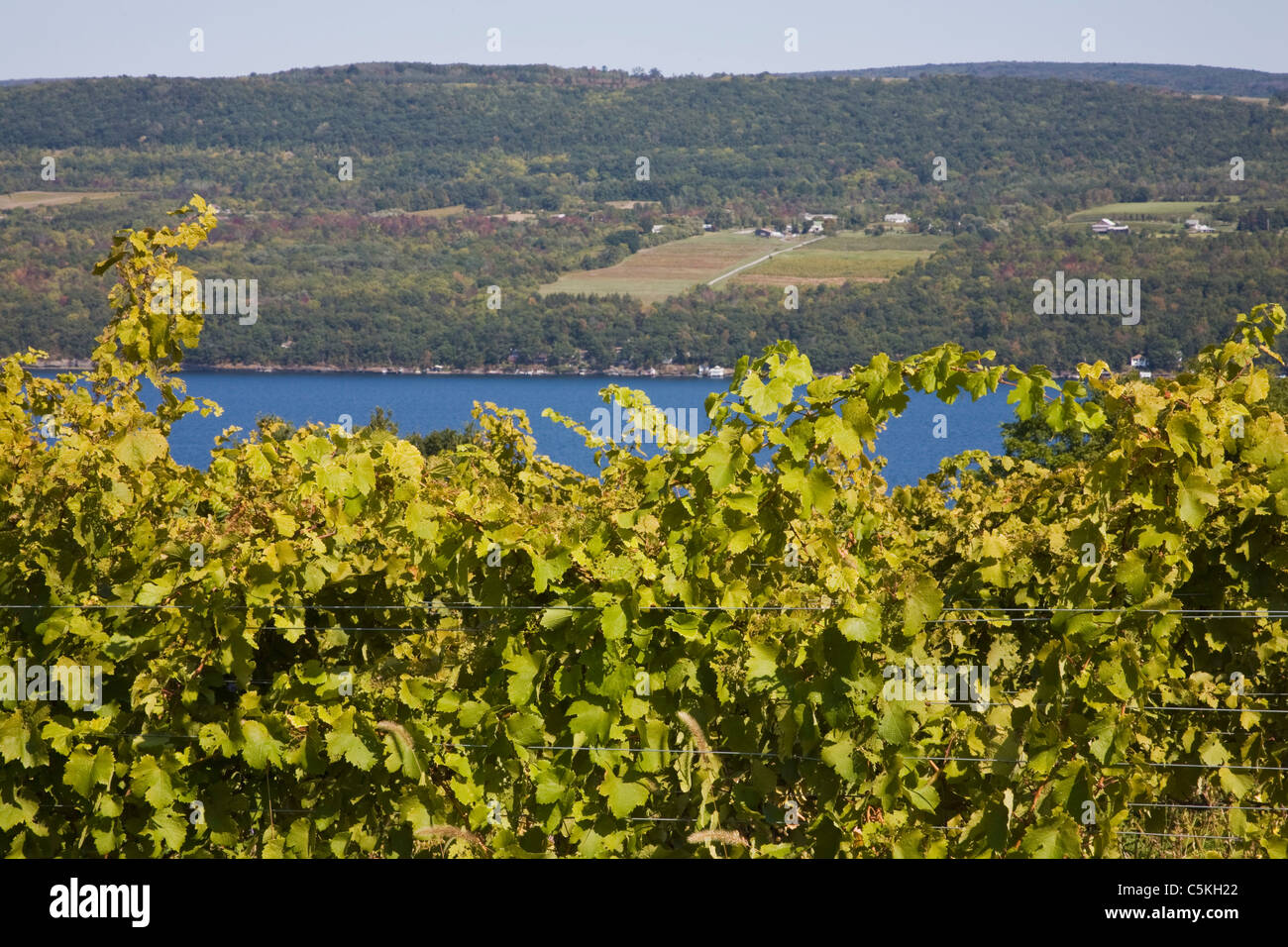 Seneca lake hi-res stock photography and images - Alamy