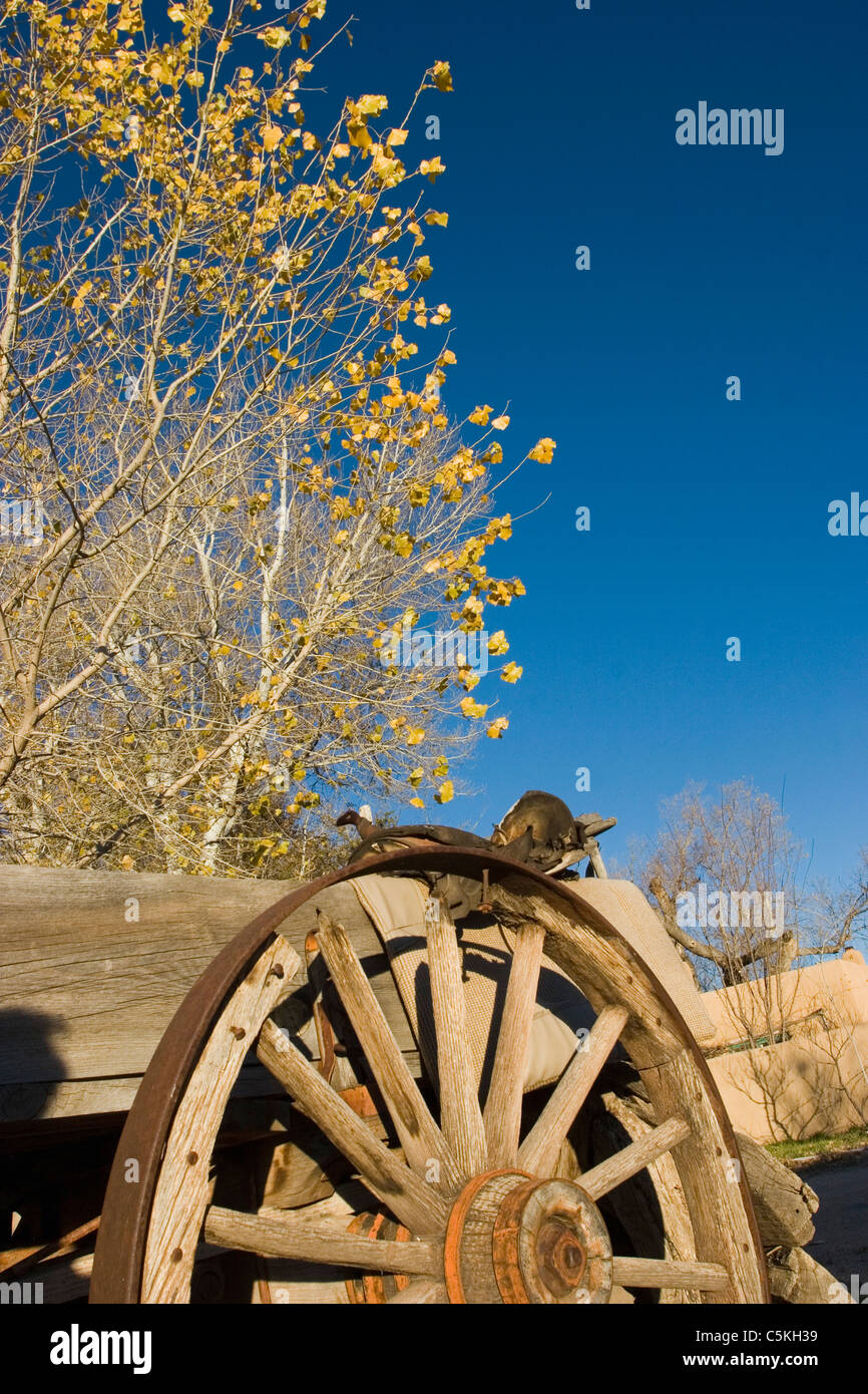 Vertical of wagon wheel and cottonwood in fall Stock Photo - Alamy