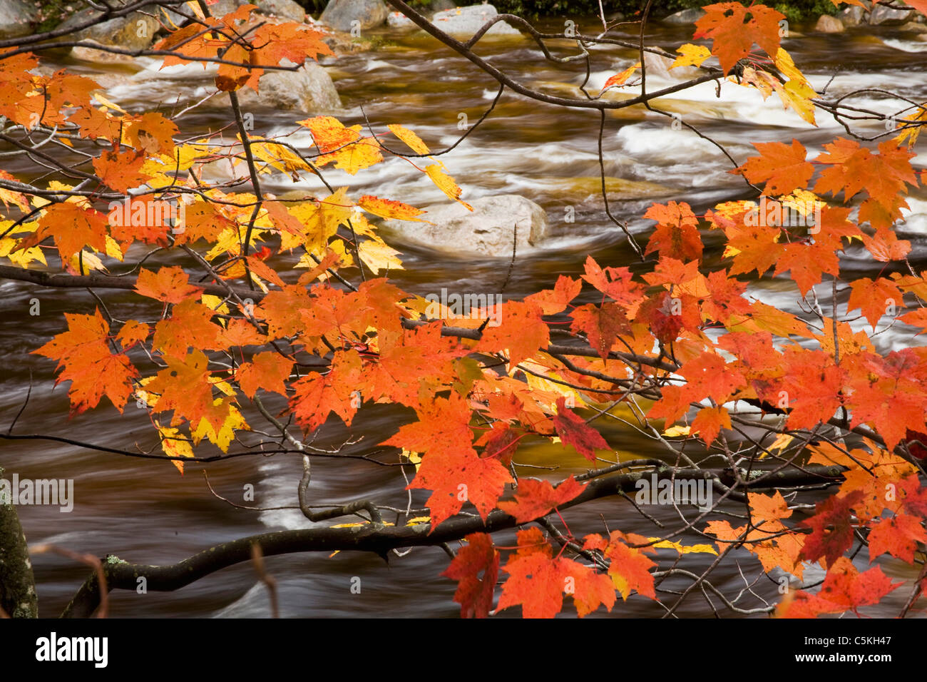 Swift current river hi-res stock photography and images - Alamy