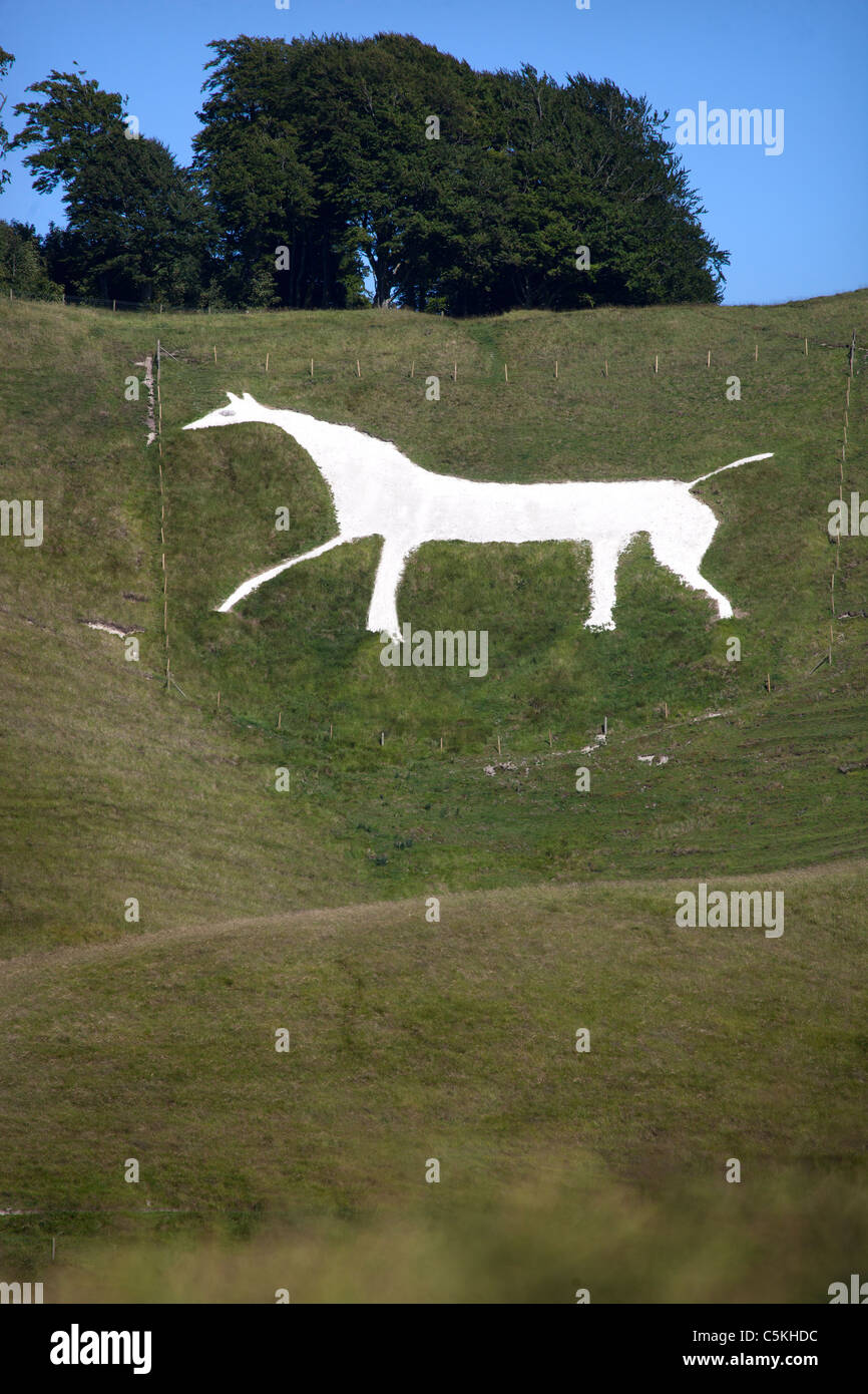 White horse trail wiltshire hi-res stock photography and images - Alamy
