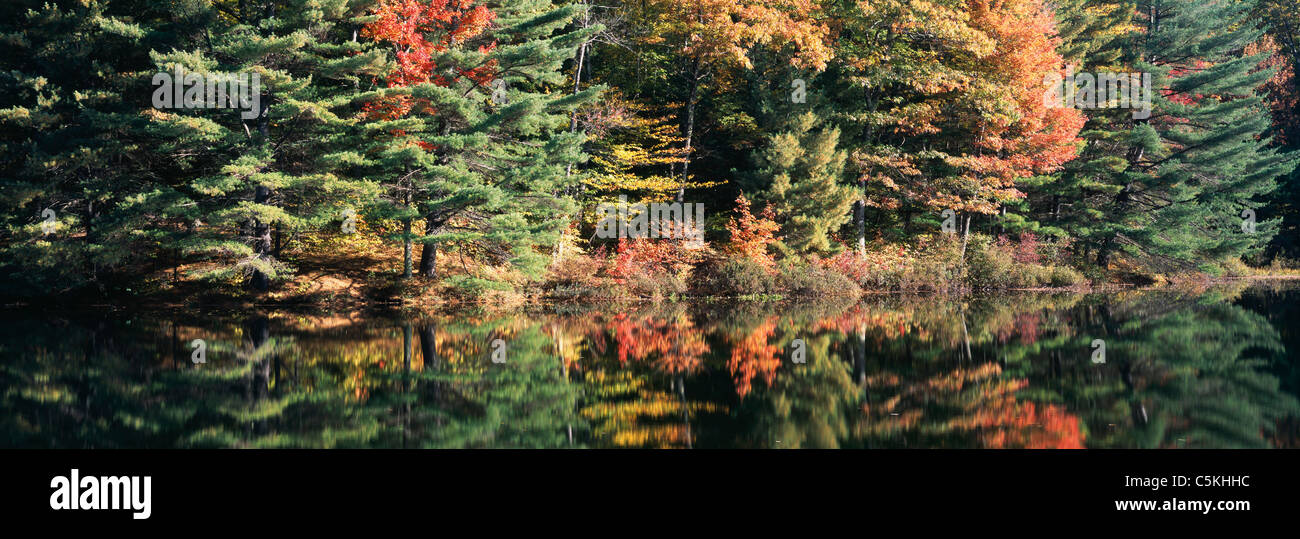 Trees by the pond hi-res stock photography and images - Alamy
