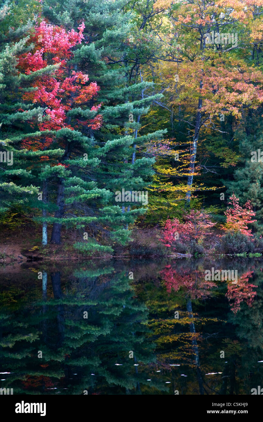 Fall color in pond hi-res stock photography and images - Alamy