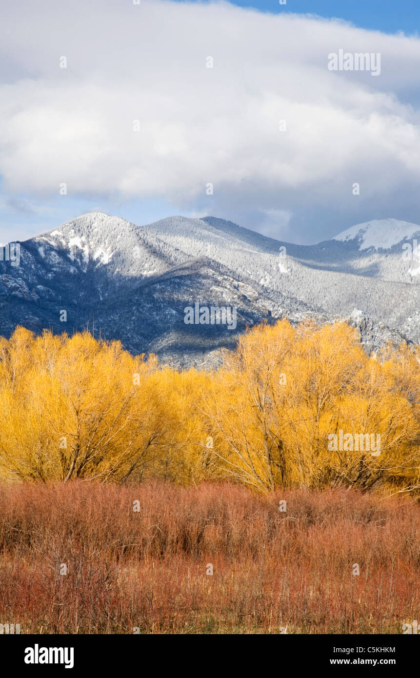Spring Snow on Mountain Stock Photo - Alamy