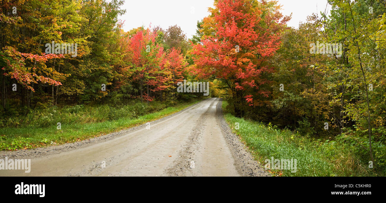 Red colored trees hi-res stock photography and images - Alamy