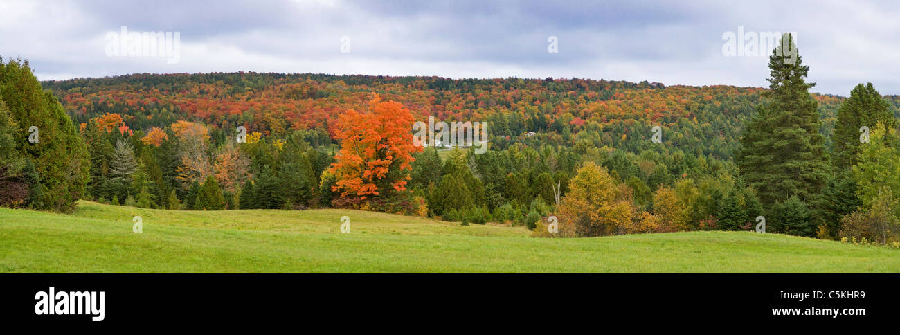 Hilltop farm hi-res stock photography and images - Alamy