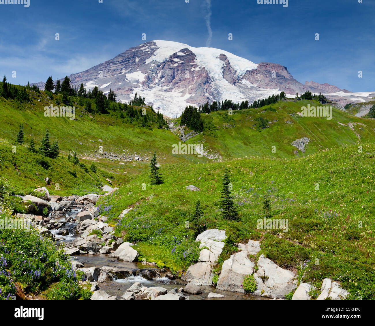 Grassland with stream hi-res stock photography and images - Alamy