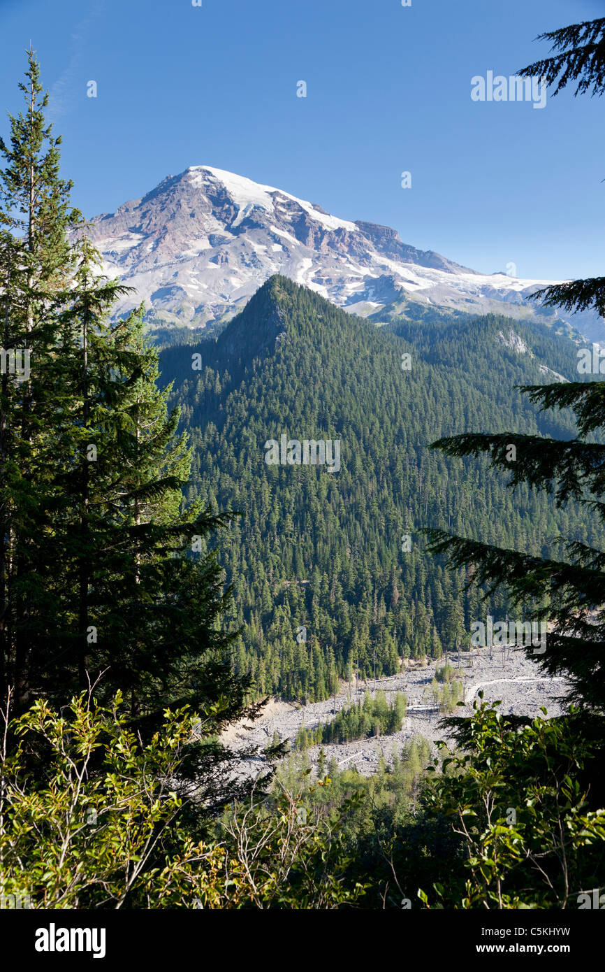Forest and Mount Rainier National Park, Washington USA Stock Photo - Alamy