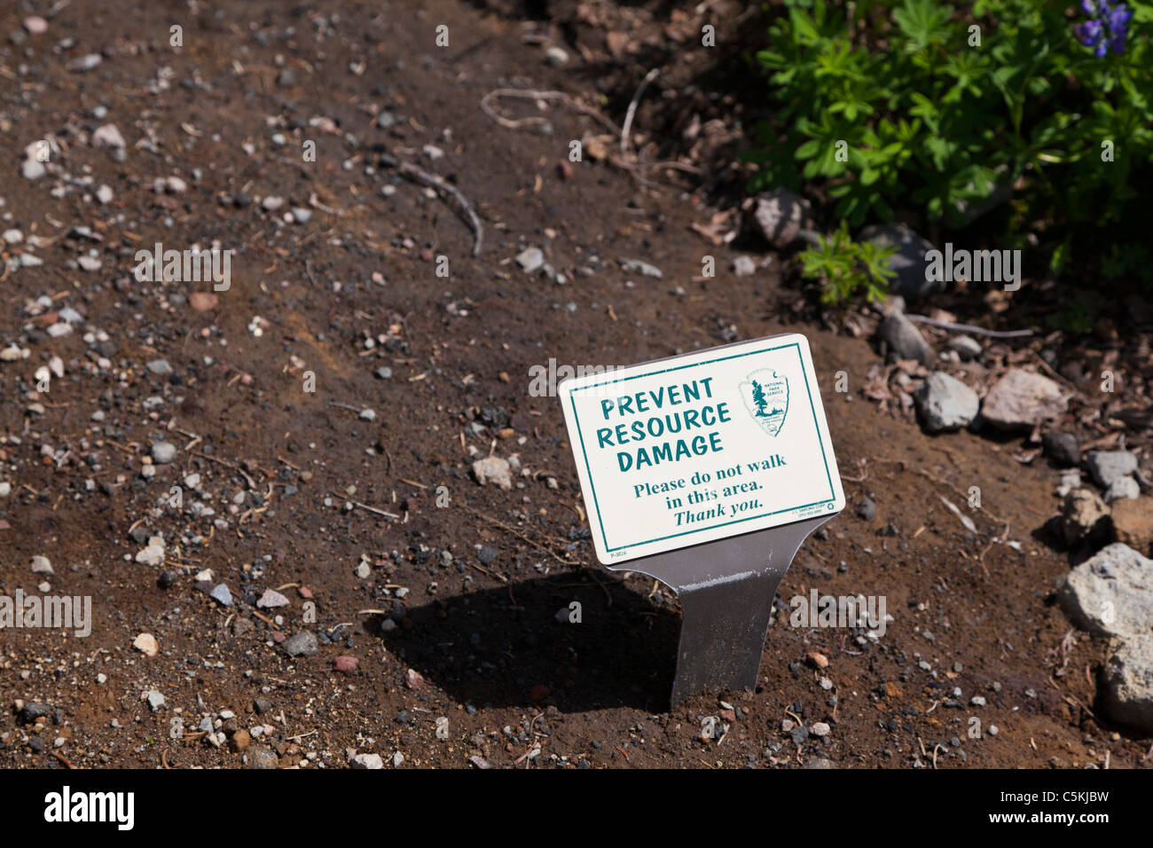 Sign 'Prevent Resource Damage' on soil off footpath Mount Rainier ...