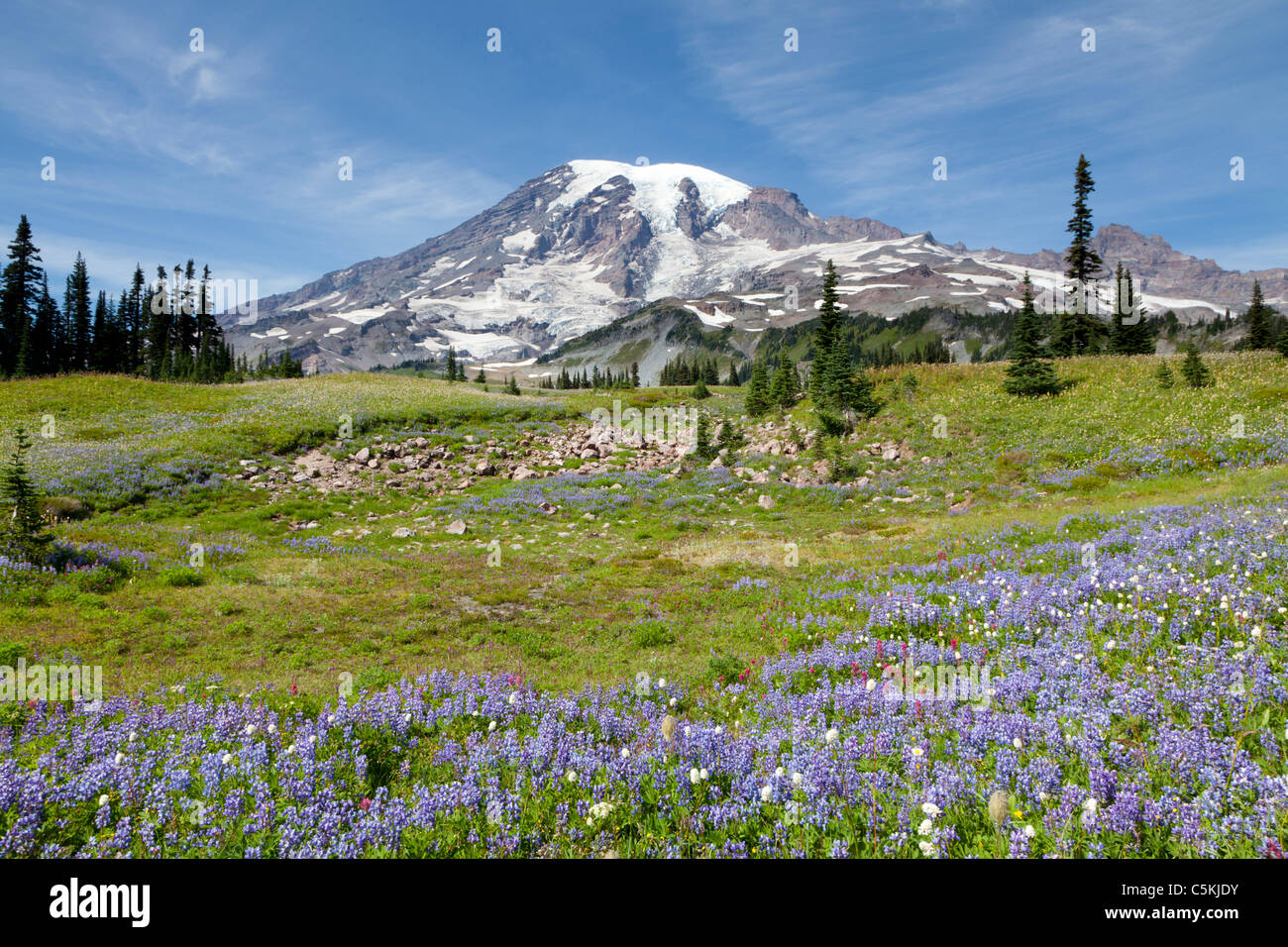 Sky meadows park washington hi-res stock photography and images - Alamy