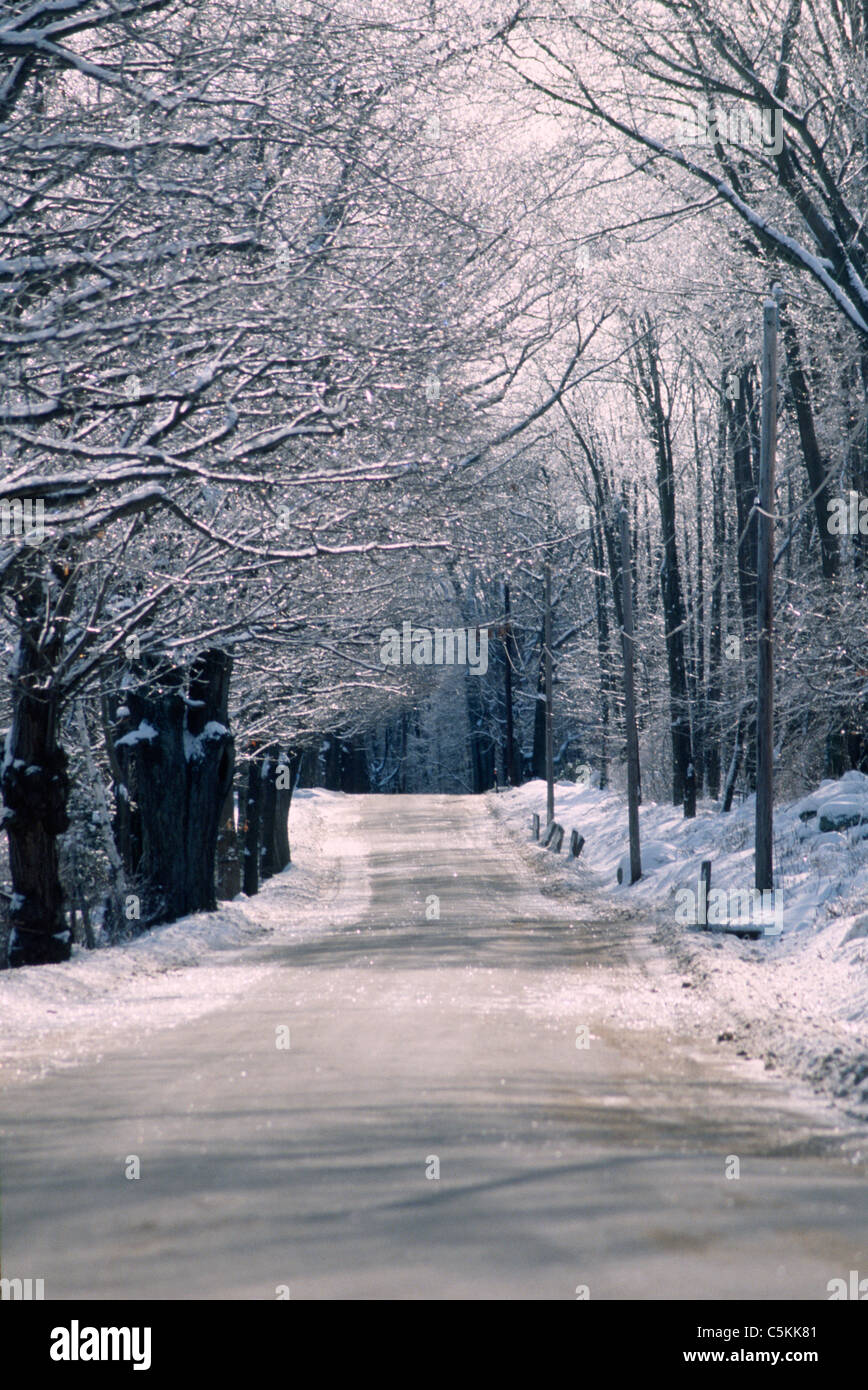 Road, Ice storm, CT Stock Photo - Alamy