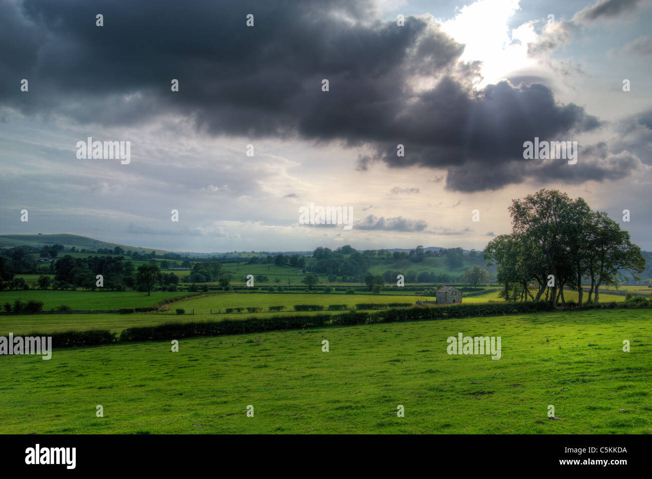 Landscape with tree and house in England Stock Photo - Alamy