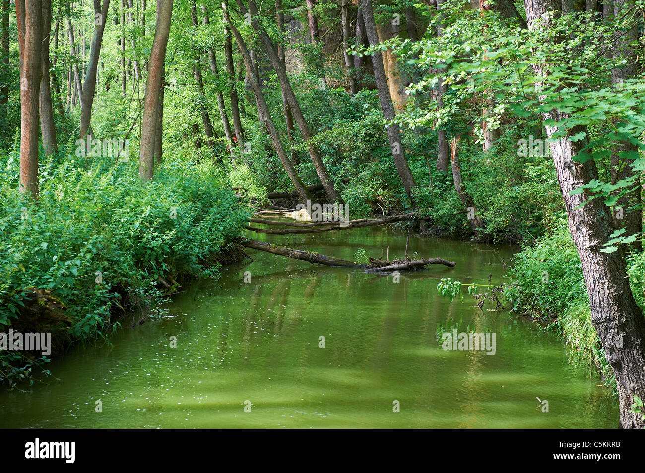 Peklo (hell) National Nature Monument Czech Republick Ceska Lipa Stock ...