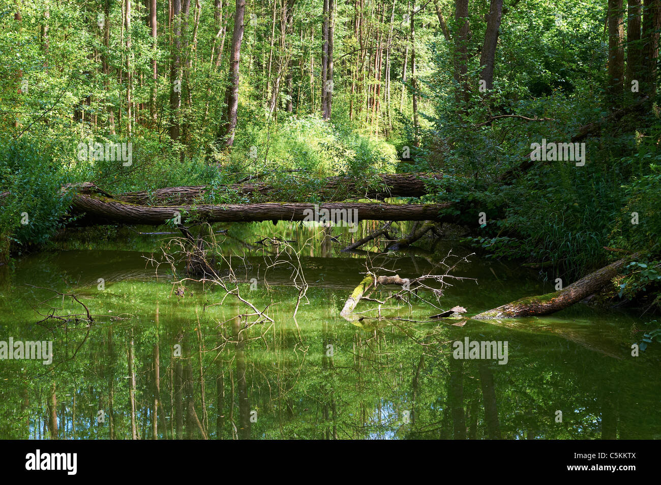 Peklo (hell) National Nature Monument Czech Republick Ceska Lipa Stock ...