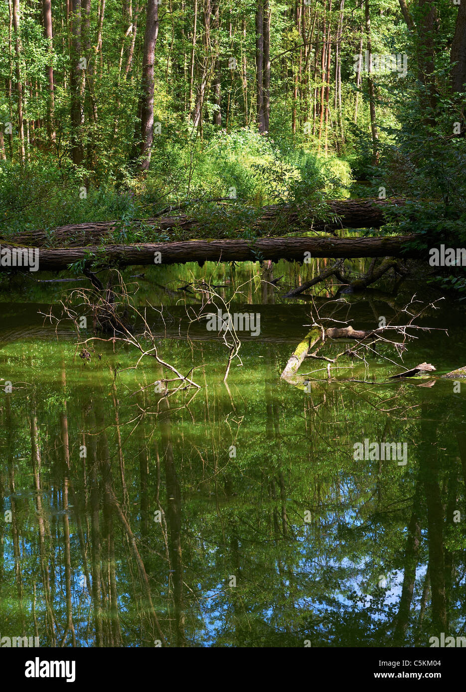 Peklo (hell) National Nature Monument Czech Republick Ceska Lipa Stock ...