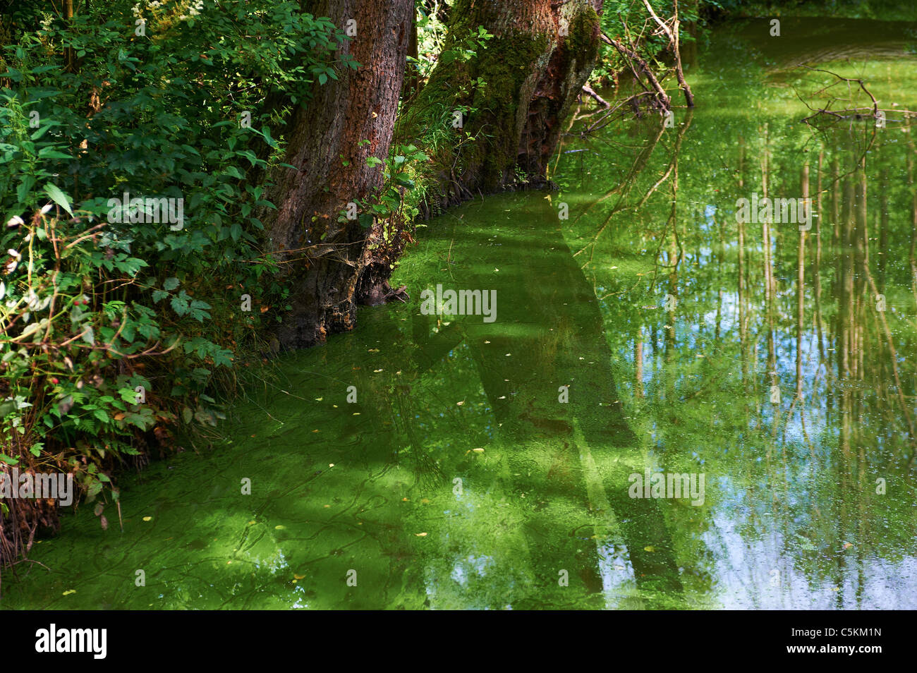 Peklo (hell) National Nature Monument Czech Republick Ceska Lipa Stock ...