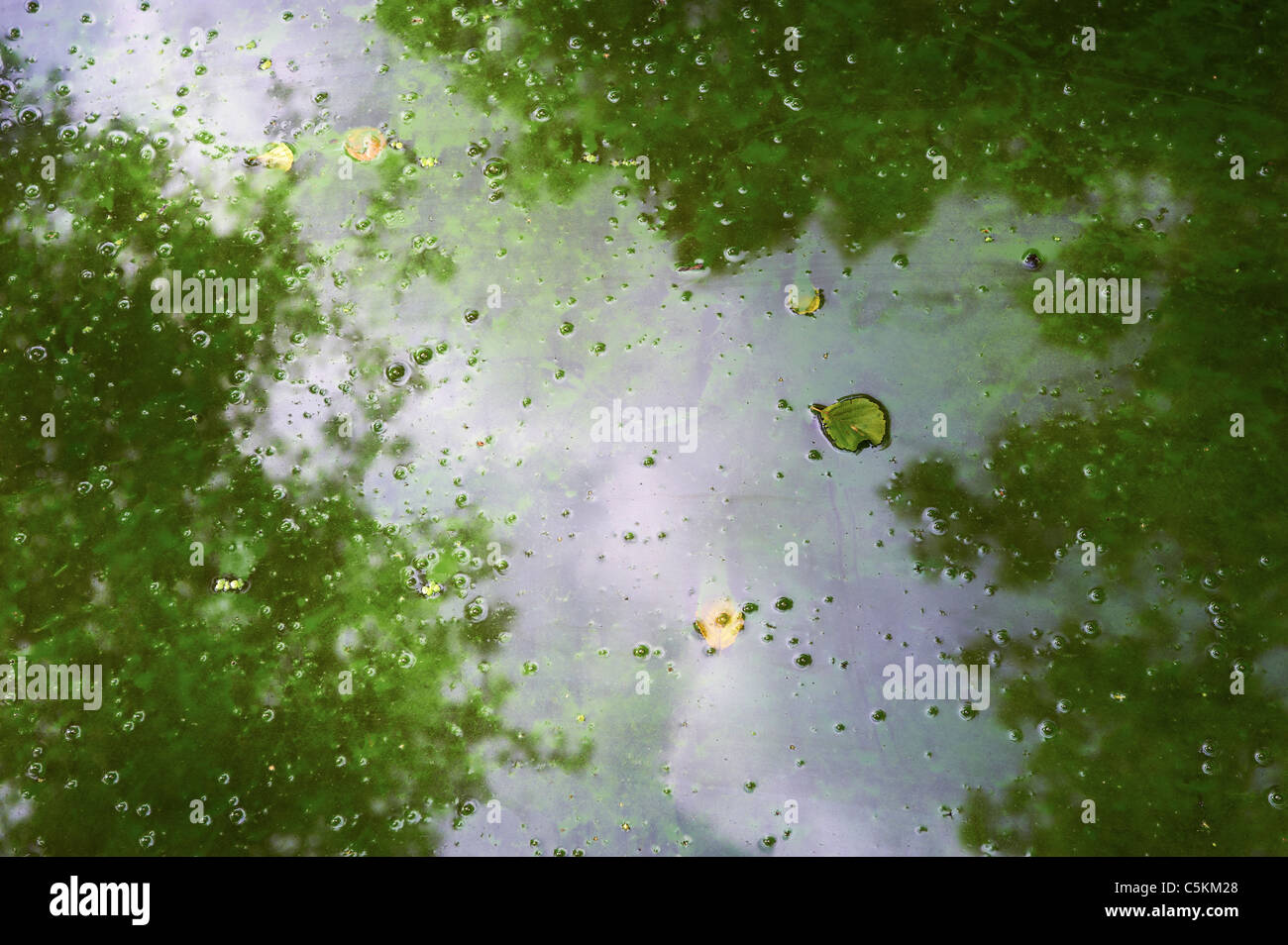 Peklo (hell) National Nature Monument Czech Republick Ceska Lipa Stock ...