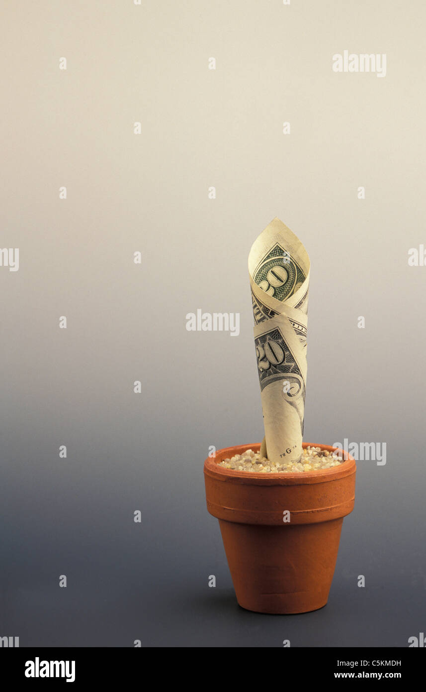 money, terra cotta flower pot Stock Photo - Alamy