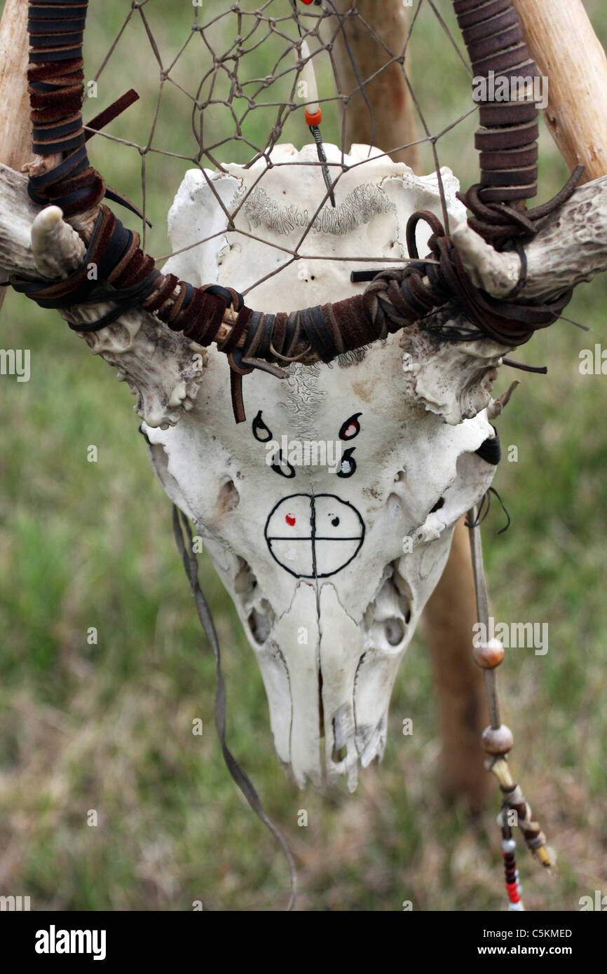 A Native American Indian deer skull Stock Photo - Alamy